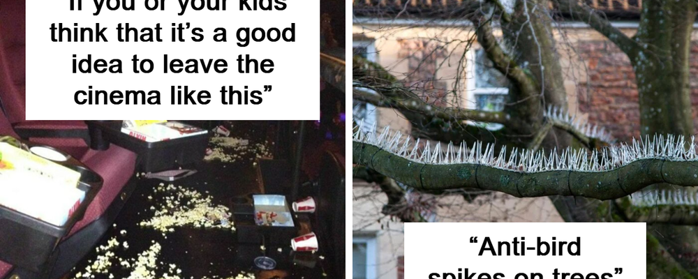 If You Stay Calm Through These 44 Rage-Inducing Pics, You Officially ...