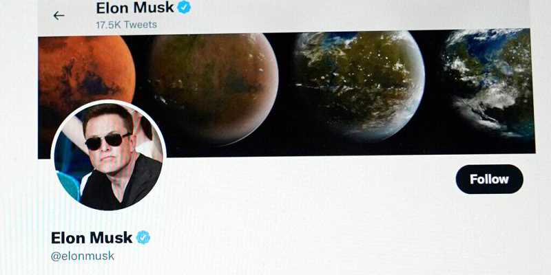 The Musk effect: Could the X owner actually impact Germany’s election?