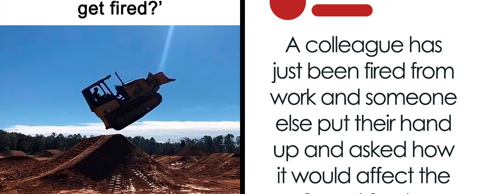 “So Why Did You Get Fired?”: 49 Memes To Brighten Your Day If You Just ...