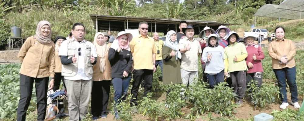 Organic priority at Tenom’s role model farm