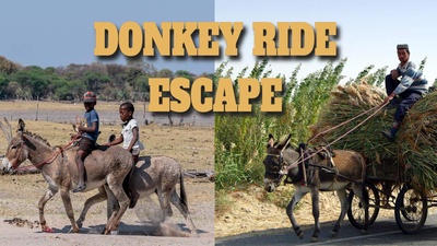 Donkey Ride Escape