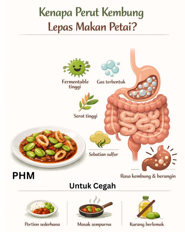 Perut kembung selepas makan petai?