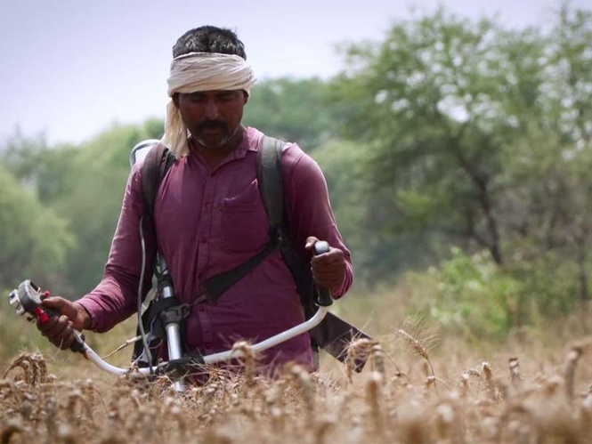How a battery-powered machine is tackling stubble burning - Newswav