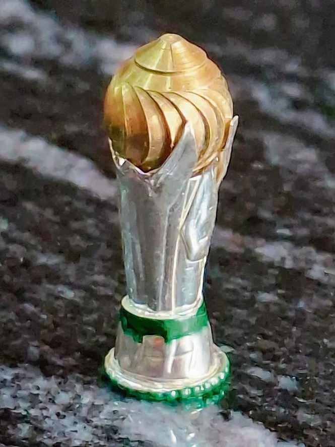 Sirsa artisan crafts one-inch silver replica of FIFA World Cup trophy ...