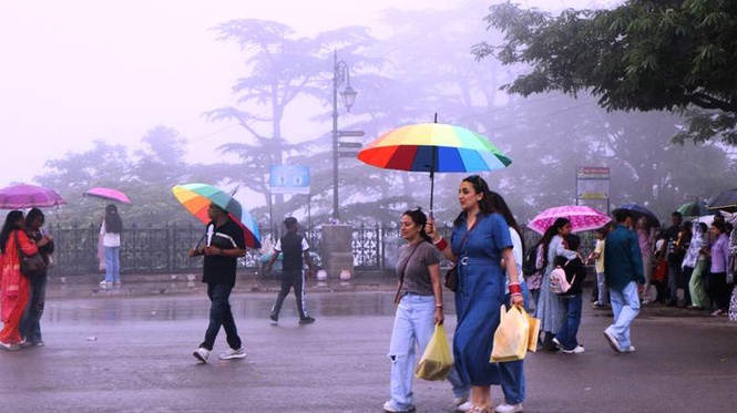 Fresh spell of rain likely from today in Himachal Pradesh - Newswav