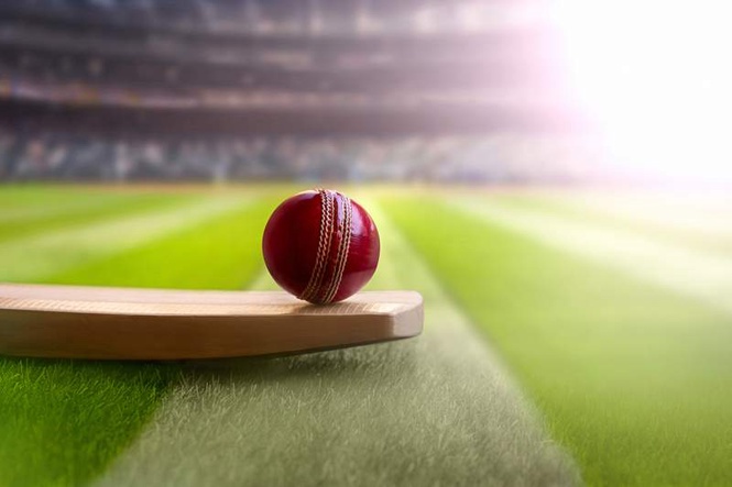 Nikhil shines with bat as Hawks humble Titans in Chandigarh Premier ...