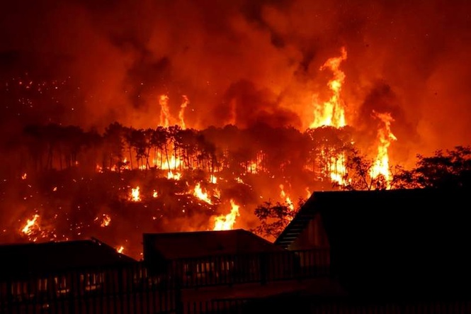 Two forest fires break out in HP’s Dharamshala - Newswav