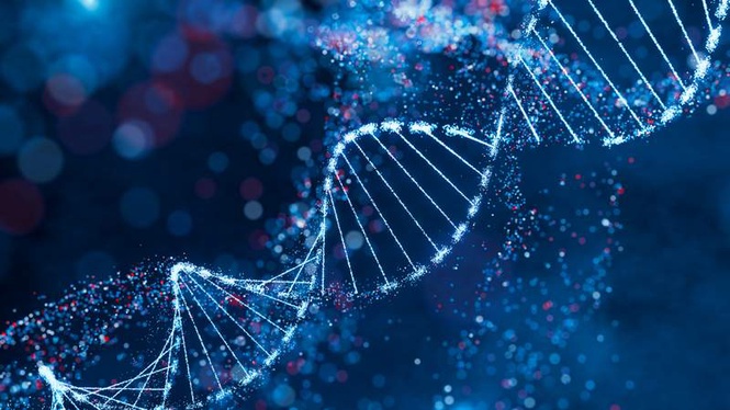 Study identifies 74 locations in human genome related to anxiety ...