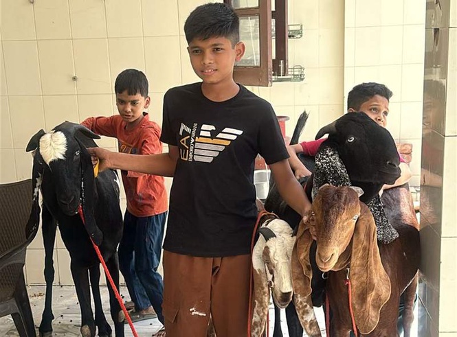 Prices shoot up amid shortage of goats ahead of Eid al-Adha - Newswav