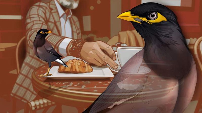 When hope & courage arrive on two wings and one leg - Newswav