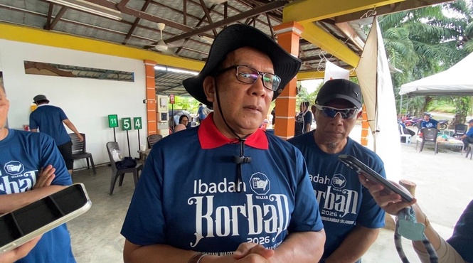 Tanah bekas ladang babi dikosongkan, penternak mula tukar perusahaan ...