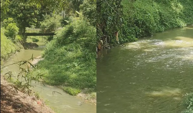 Sungai Tekala tercemar lagi, ADN gesa tindakan segera lindungi sumber ...