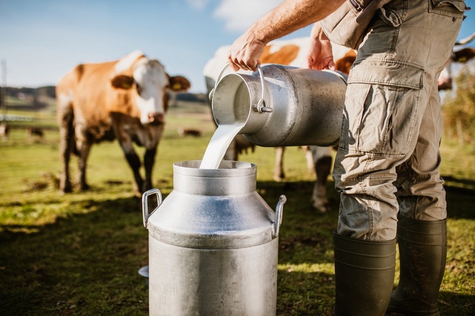Got milk? Climate change may be hurting both the quality and quantity ...