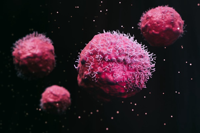 ‘Wonder pill’ found to reduce tumours by 30% in six cancer types - Newswav