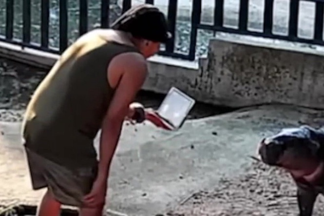 Moo Deng fan fined after jumping into hippo’s enclosure - Newswav