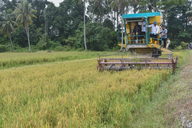 KPKM channels over RM800,000 to boost KADA farm infrastructure - Newswav