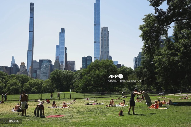 World Cup final watch party set for Central Park - Newswav