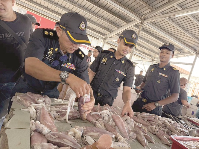 KPDN Sabah acts on ‘fish in squid’ claim - Newswav