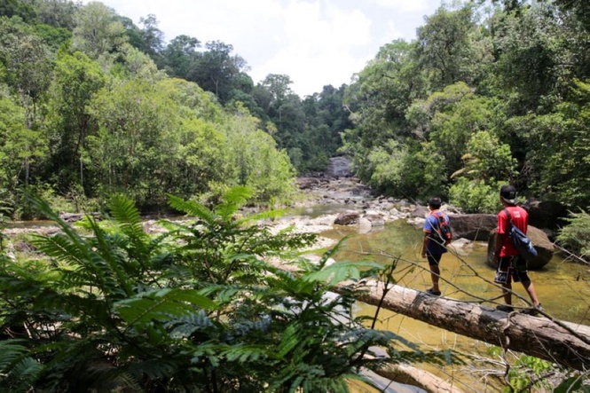 Hiking boom turns deadly with 63 fatalities and over 1,000 accidents ...