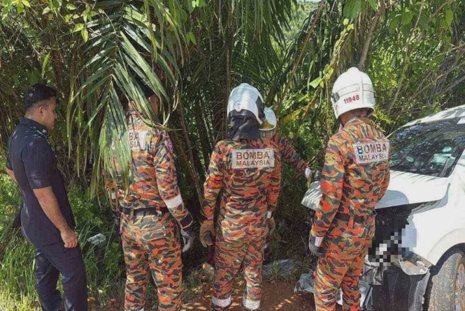 Lelaki maut tercampak keluar kereta, tersangkut di dahan kelapa sawit ...